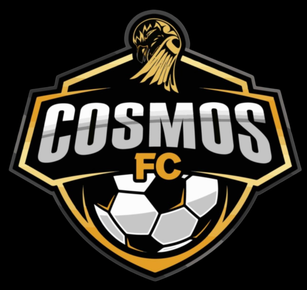 Cosmos FC » Vancouver Soccer Team